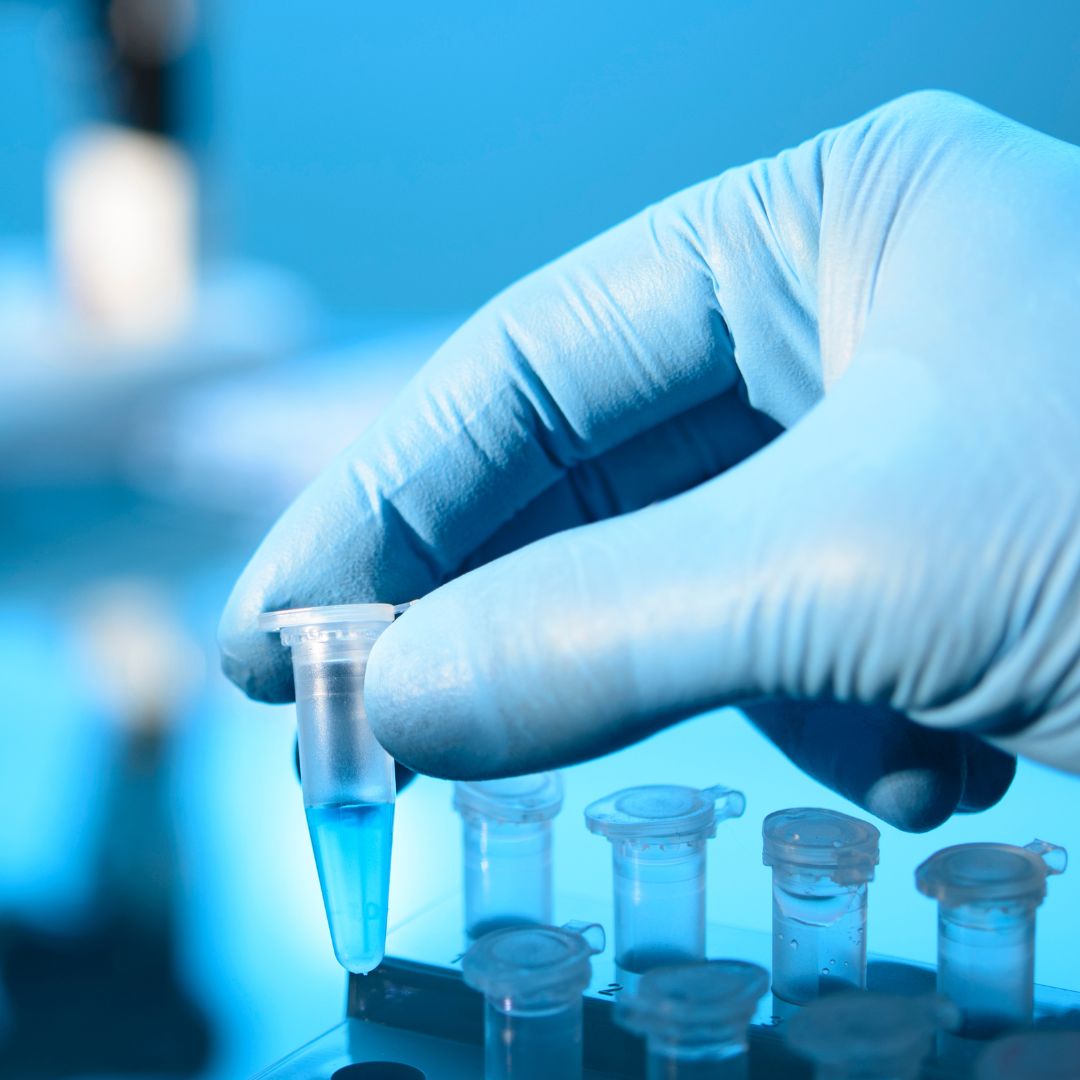 Laboratorio
